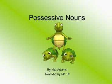 Possessive Nouns presentation | free to view