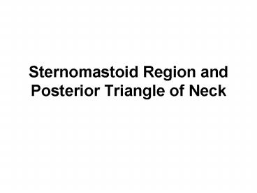PPT – Sternomastoid Region and Posterior Triangle of Neck PowerPoint ...