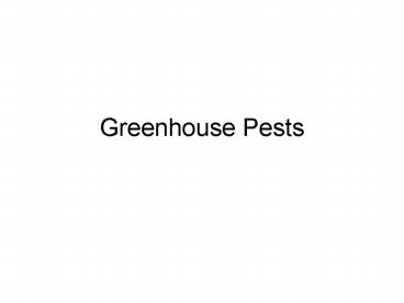 Greenhouse Pests presentation | free to view