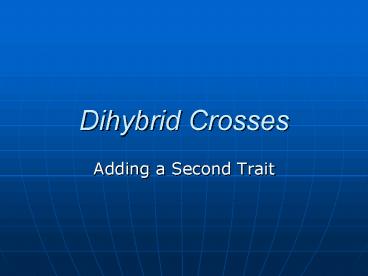 PPT – Dihybrid Crosses PowerPoint presentation | free to view - id ...