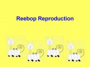 Reebop Reproduction presentation | free to view