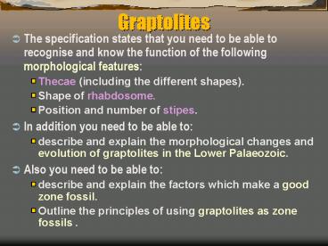 Graptolites presentation | free to view