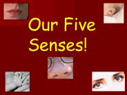 PPT – The five senses PowerPoint presentation | free to view - id ...