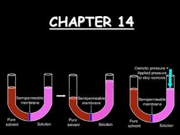 Conductivity of Solutions presentation | free to view