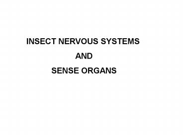 INSECT NERVOUS SYSTEMS presentation | free to view