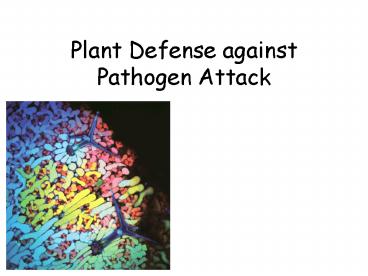 Plant Defense against Pathogen Attack presentation | free to view