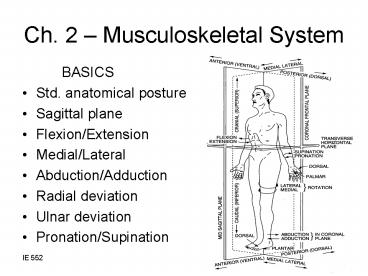 Ch' 2 Musculoskeletal System presentation | free to view