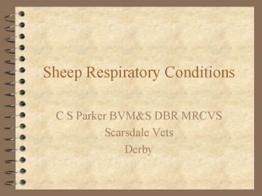 PPT – Sheep Respiratory Conditions PowerPoint presentation | free to ...