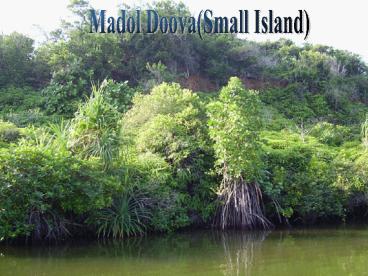Madol DoovaSmall Island presentation | free to view