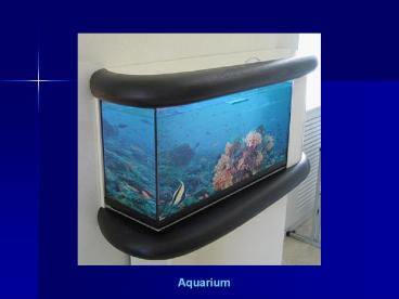 Aquarium presentation | free to download