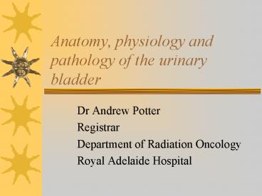 Anatomy, physiology and pathology of the urinary bladder presentation ...