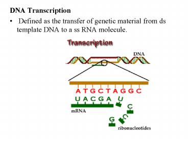 PPT – DNA Transcription PowerPoint presentation | free to view - id ...