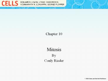 PPT – Mitosis PowerPoint presentation | free to download - id: fc190-ZDc1Z