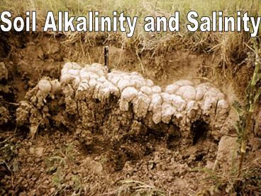 Soil Alkalinity and Salinity presentation | free to view