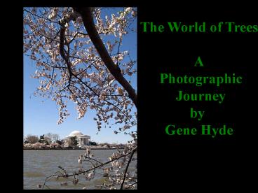 The World Of Trees presentation | free to view