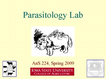 PPT – Parasitology Lab PowerPoint presentation | free to view - id ...