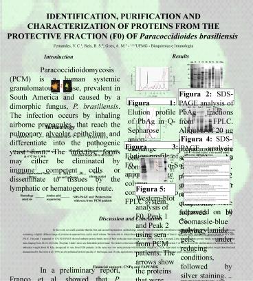 PPT – IDENTIFICATION, PURIFICATION AND CHARACTERIZATION OF PROTEINS ...
