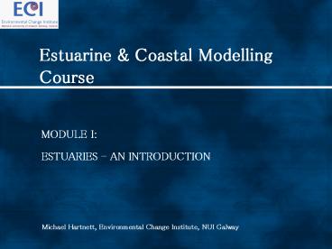 PPT – Estuarine PowerPoint presentation | free to view - id: 1003ba-ZmJlZ