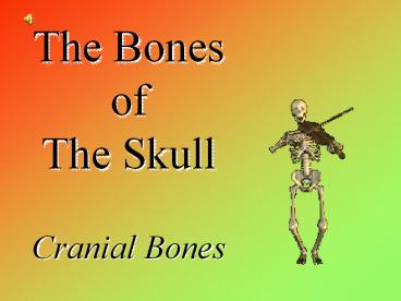 The Bones of The Skull presentation | free to download