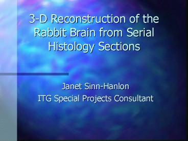 PPT – 3D Reconstruction of the Rabbit Brain from Serial Histology ...