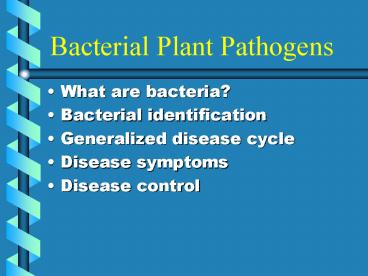 Bacterial Plant Pathogens presentation | free to view