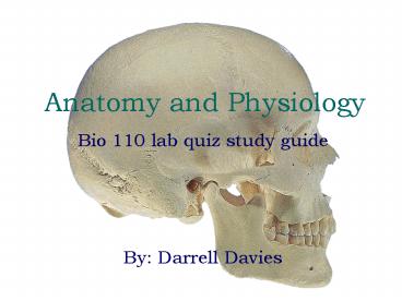 PPT – Anatomy and Physiology PowerPoint presentation | free to view ...