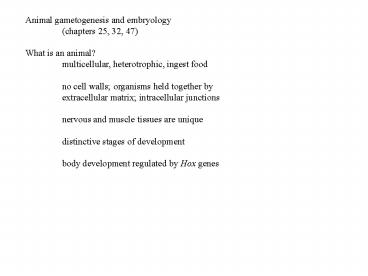 Animal gametogenesis and embryology presentation | free to view
