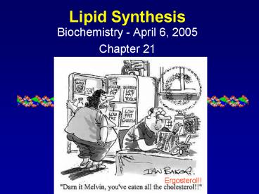 Lipid Synthesis presentation | free to view