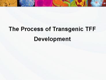 The Process of Transgenic TFF Development presentation | free to view