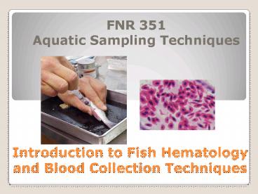 Introduction to Fish Hematology and Blood Collection Techniques ...