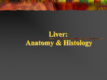 Liver: Anatomy presentation | free to view