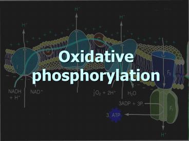 Oxidative phosphorylation presentation | free to view