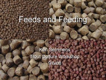 Feeds and Feeding presentation | free to view