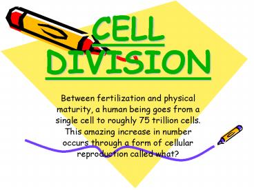 CELL DIVISION presentation | free to view