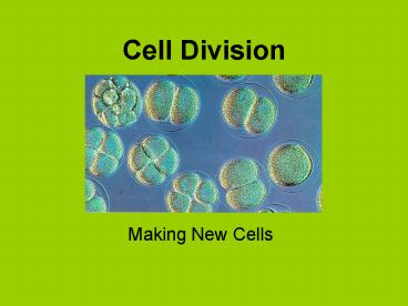 PPT – Cell Division PowerPoint presentation | free to view - id: 10b5f1 ...