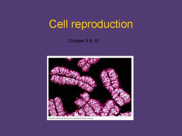 PPT – Cell reproduction PowerPoint presentation | free to view - id ...
