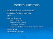 PPT – Mammals PowerPoint presentation | free to view - id: 6392e-YWMwY