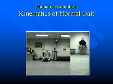 Human Locomotion Kinematics of Normal Gait presentation | free to view