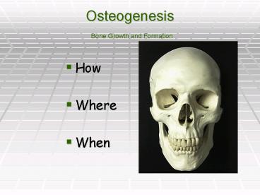 Osteogenesis Bone Growth and Formation presentation | free to view