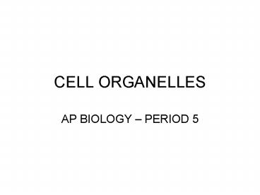 PPT – CELL ORGANELLES PowerPoint presentation | free to view - id ...