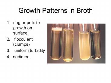 Growth Patterns in Broth presentation | free to view