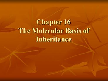 Chapter 16 The Molecular Basis of Inheritance presentation | free to view