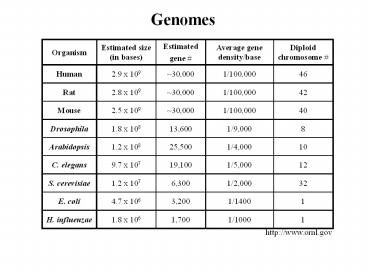 PPT – Genomes PowerPoint presentation | free to download - id: 1141f7-ZTM5O