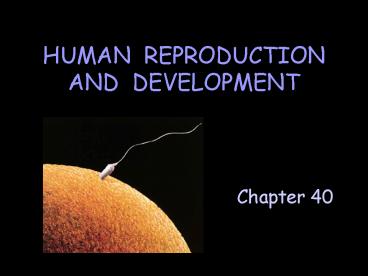 HUMAN REPRODUCTION AND DEVELOPMENT presentation | free to view