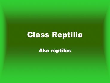 PPT – Class Reptilia PowerPoint presentation | free to view - id ...