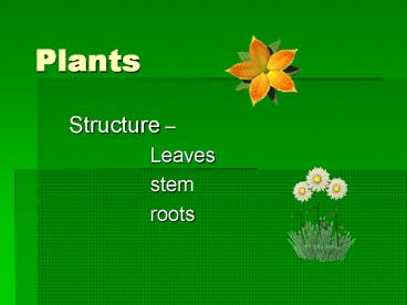 PPT – Plants PowerPoint presentation | free to download - id: 1151ce-YWQ4M