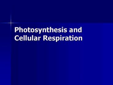 PPT – Photosynthesis and Cellular Respiration PowerPoint presentation ...