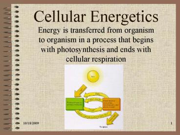 PPT – Cellular Energetics PowerPoint presentation | free to view - id ...