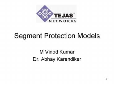 Segment Protection Models presentation | free to view
