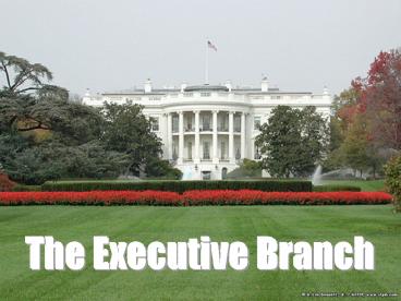 PPT – The Executive Branch PowerPoint presentation | free to view - id ...